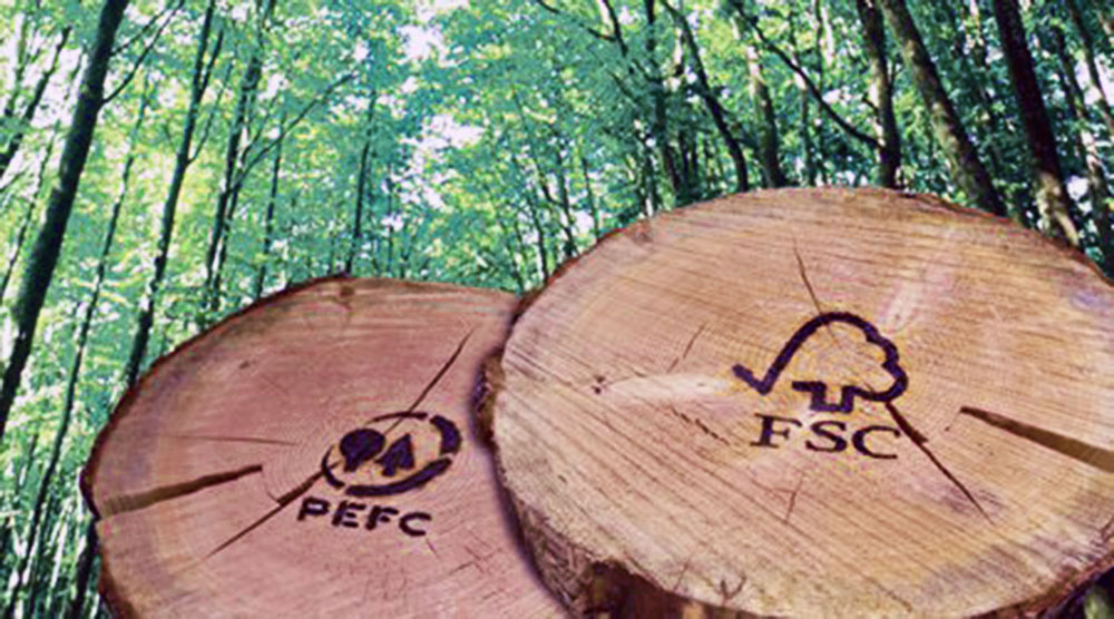 FSC® and PEFC certifications: what are the main differences?