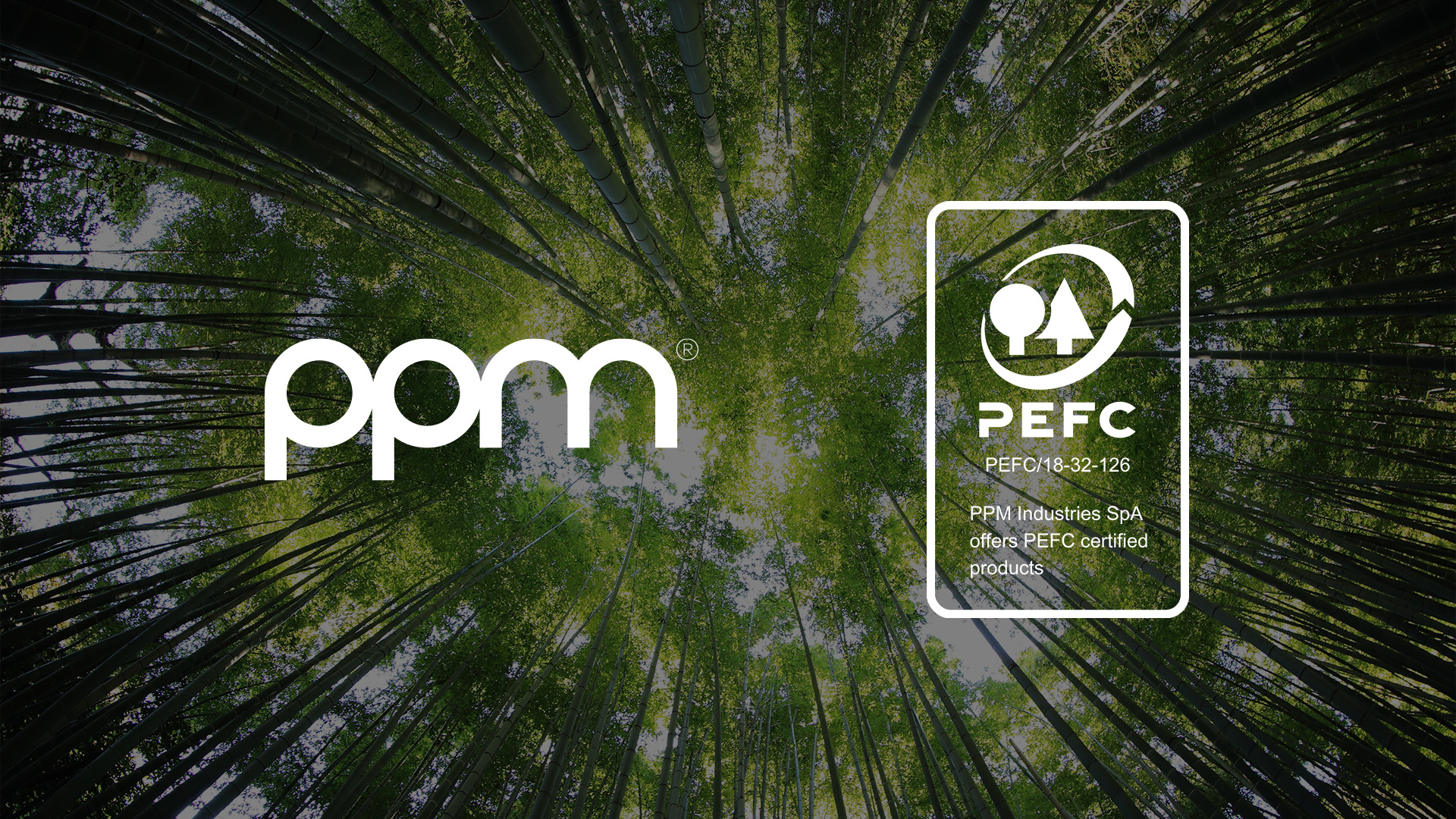 PPM Industries masking tape range obtained PEFC Certification